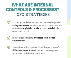 Internal Controls & Processes - Virtual CFO